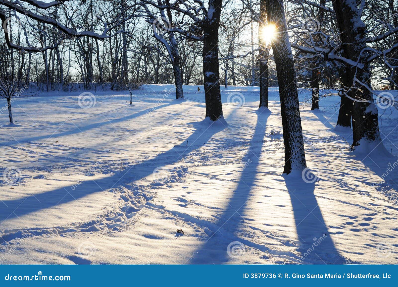 Shadows on the Snow stock photo. Image of snowy, destination - 3879736