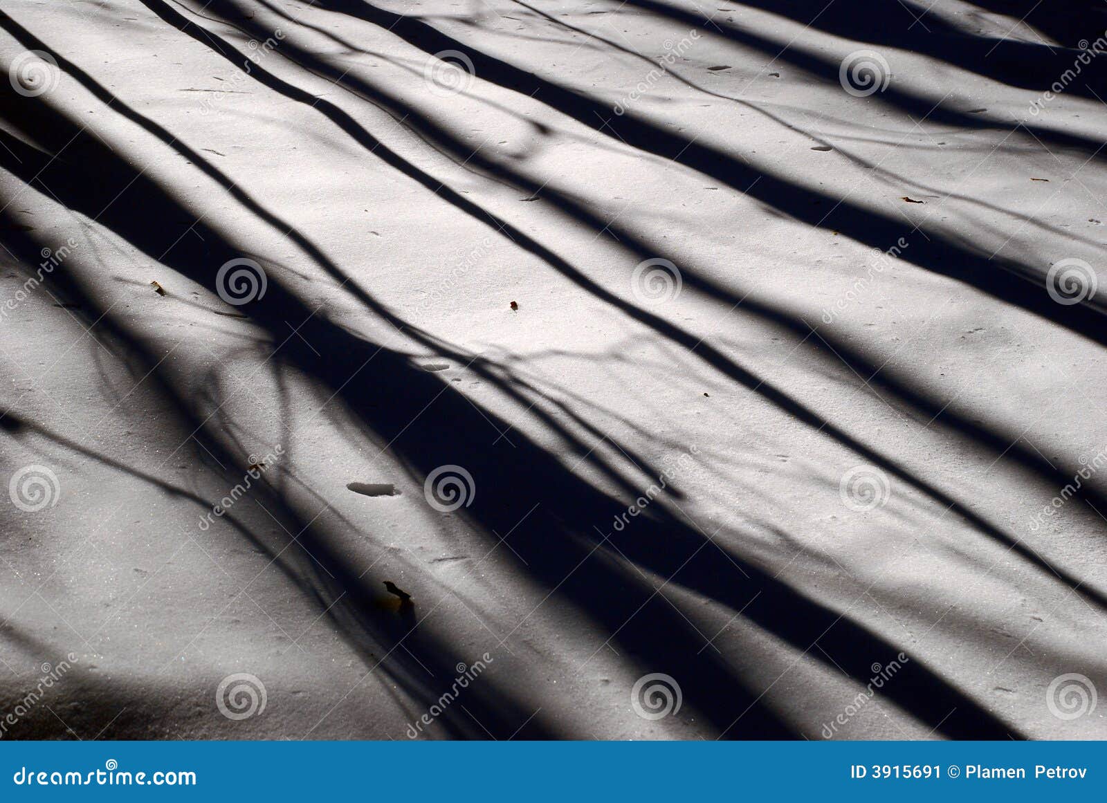 Shadows in the snow stock image. Image of wintertime, beauty - 3915691