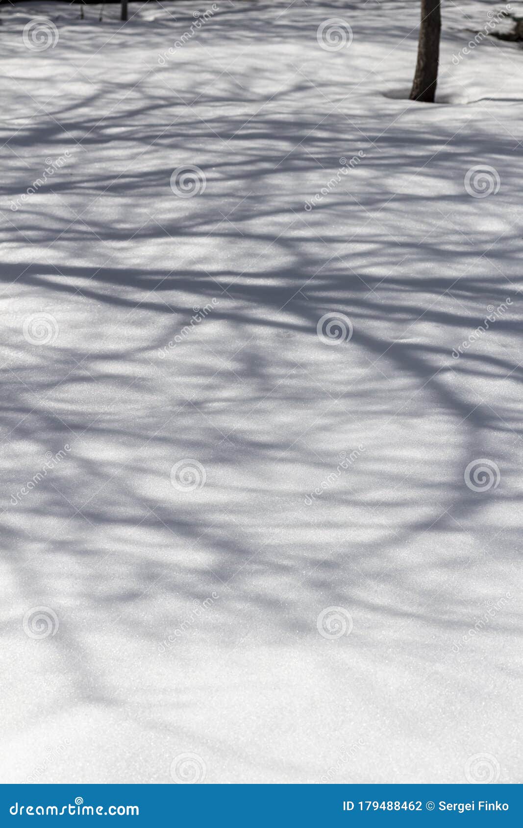 Shadows in the snow stock photo. Image of frost, bright - 179488462