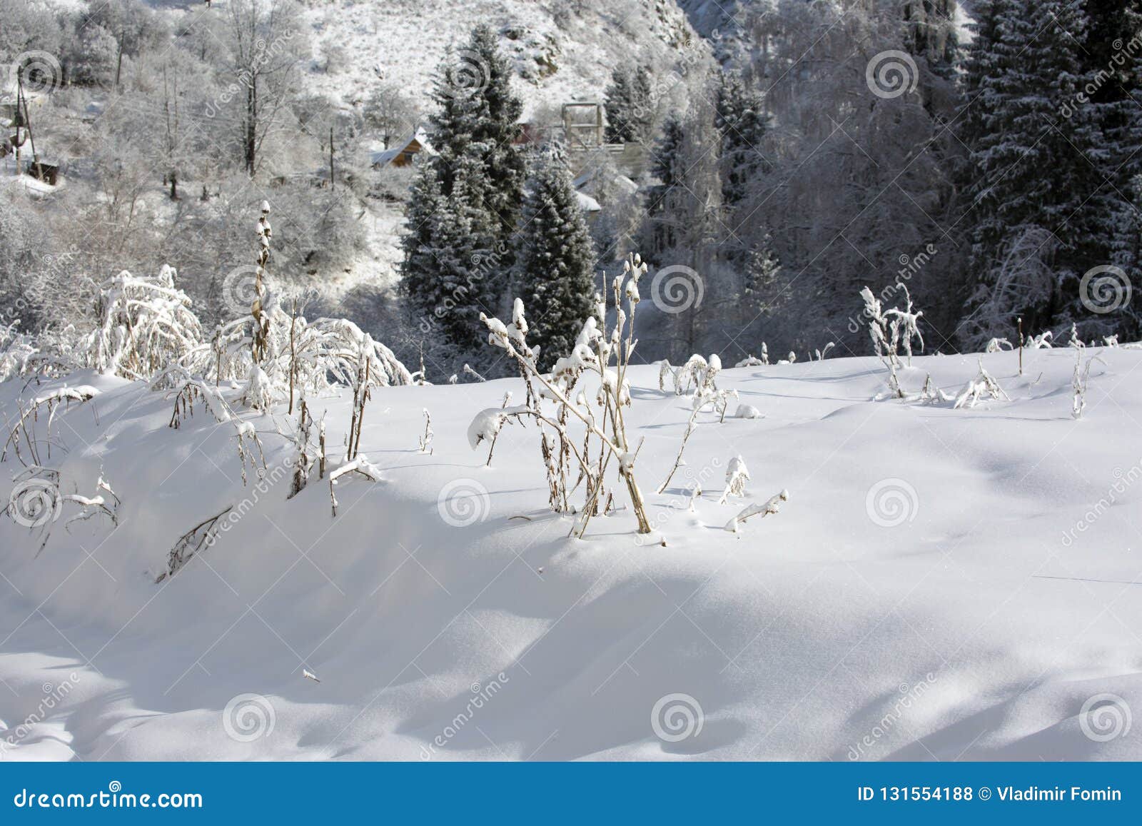 Shadows on the snow. stock photo. Image of warm, morning - 131554188
