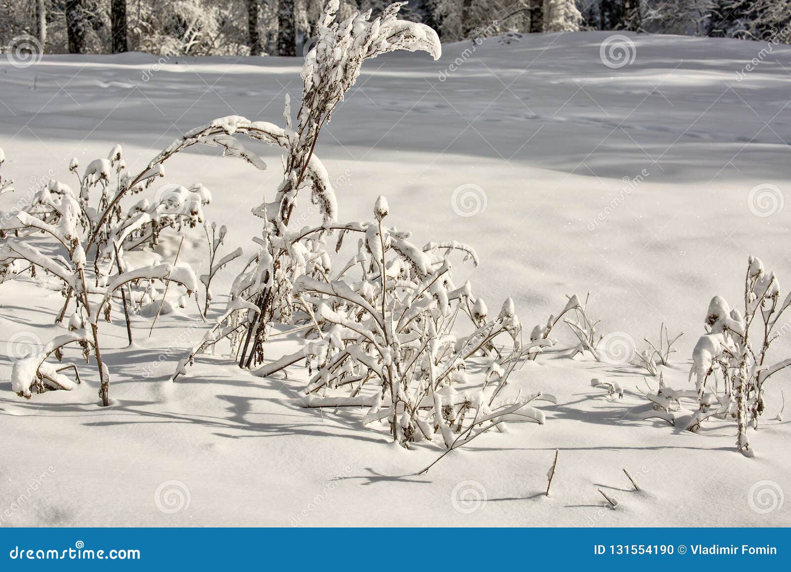 Shadows on the snow. stock photo. Image of background - 131554190
