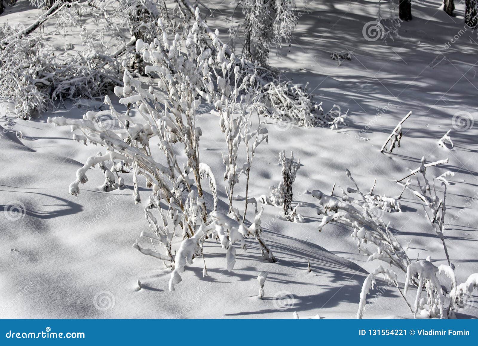 Shadows on the snow. stock image. Image of warm, snow - 131554221