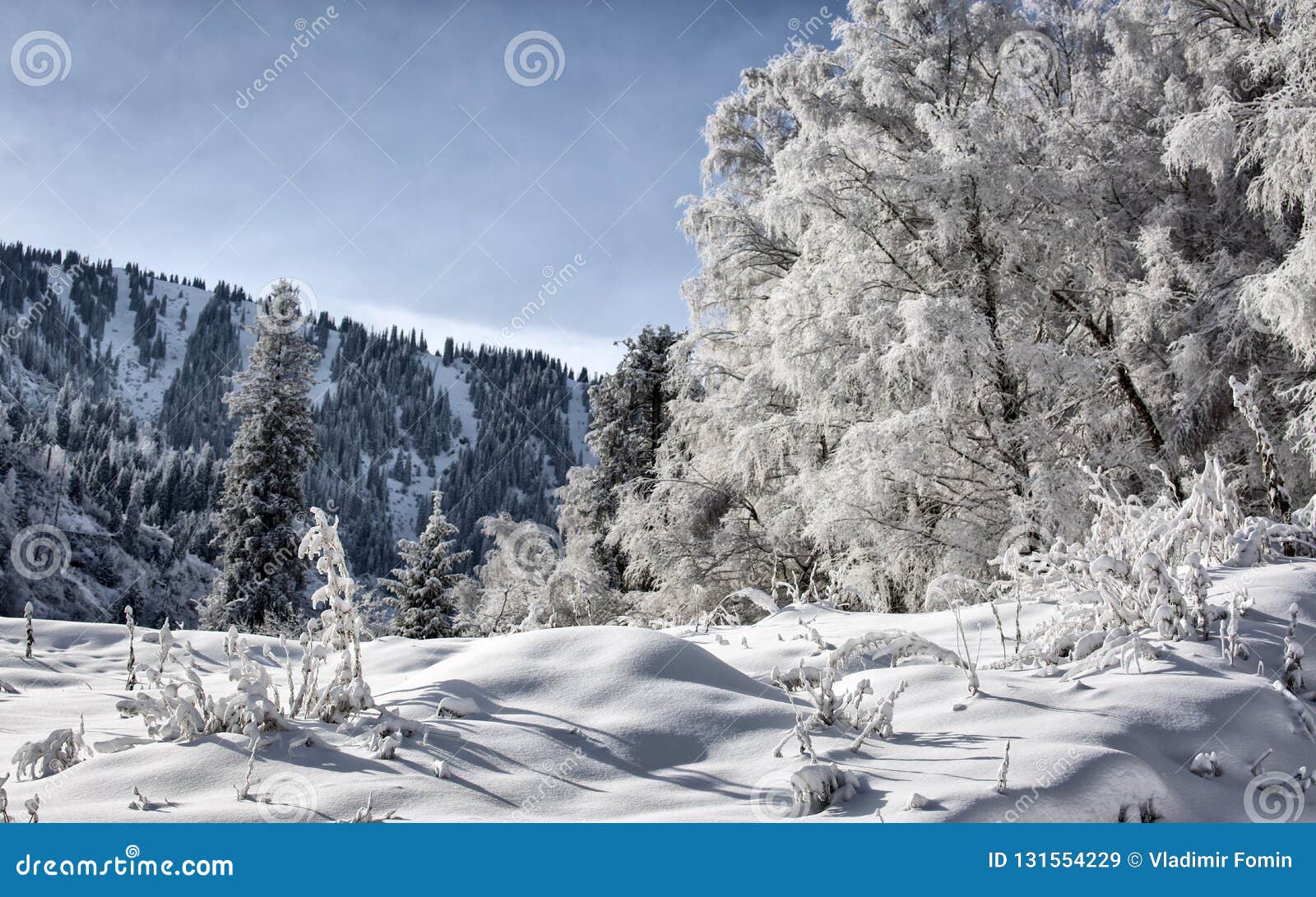 Shadows on the snow. stock image. Image of fresh, light - 131554229