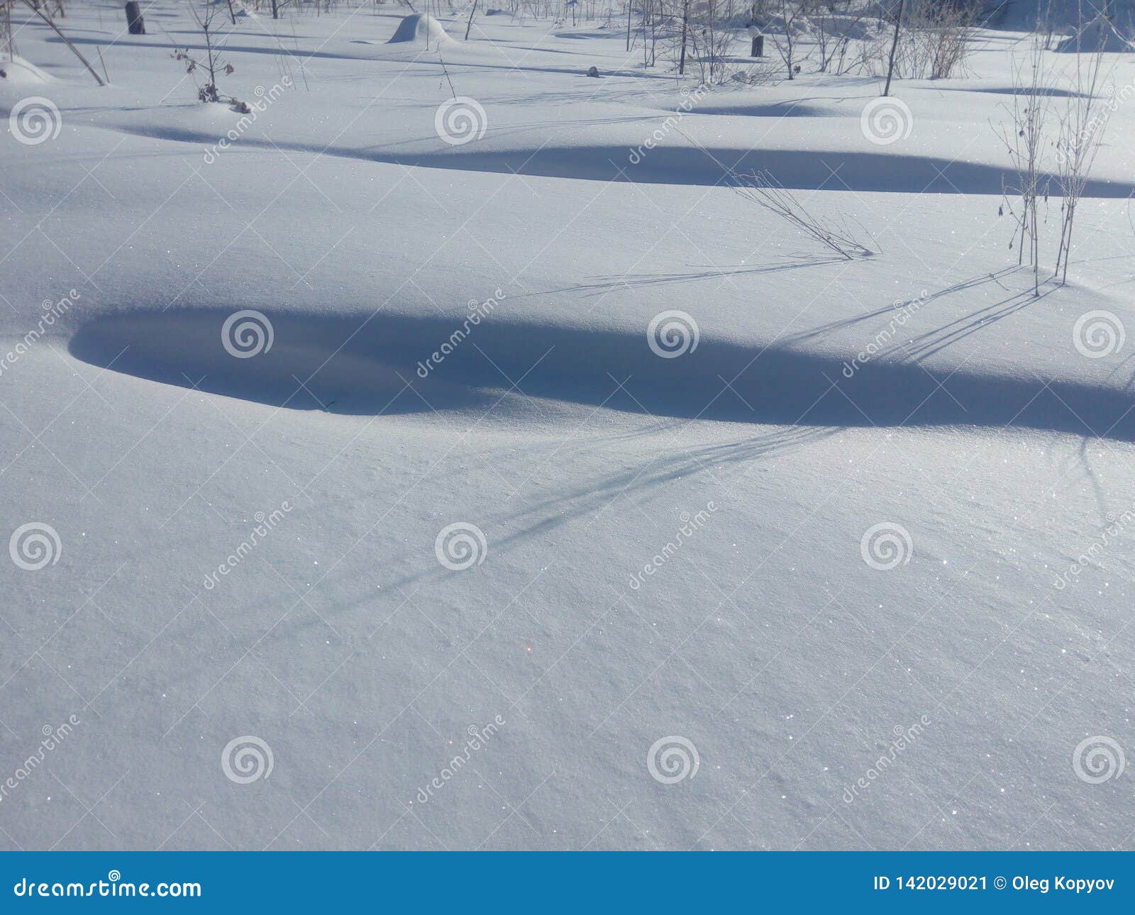 Shadows on the Snow. Shadows from the Trees. Shadows from the Bright ...