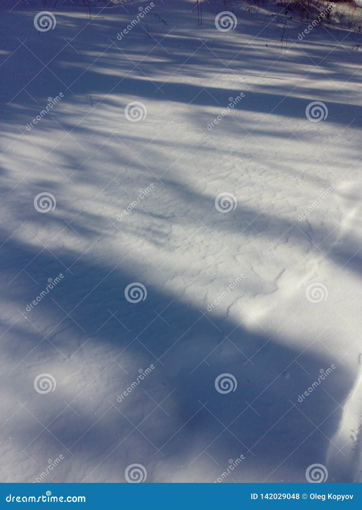 Shadows on the Snow. Shadows from the Trees. Shadows from the Bright ...