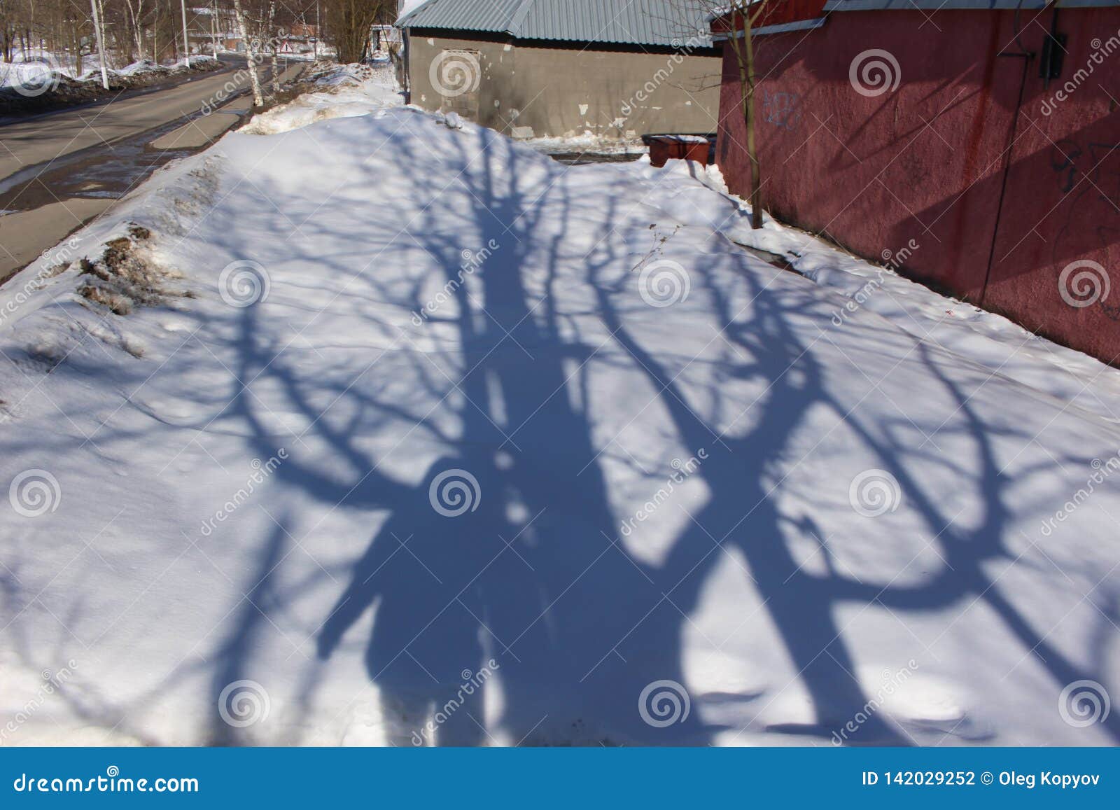 Shadows on the Snow. Shadows from the Trees. Shadows from the Bright ...