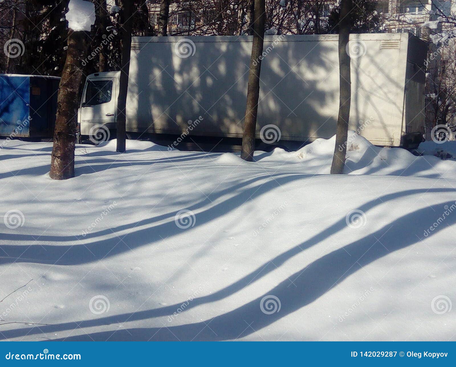Shadows on the Snow. Shadows from the Trees. Shadows from the Bright ...