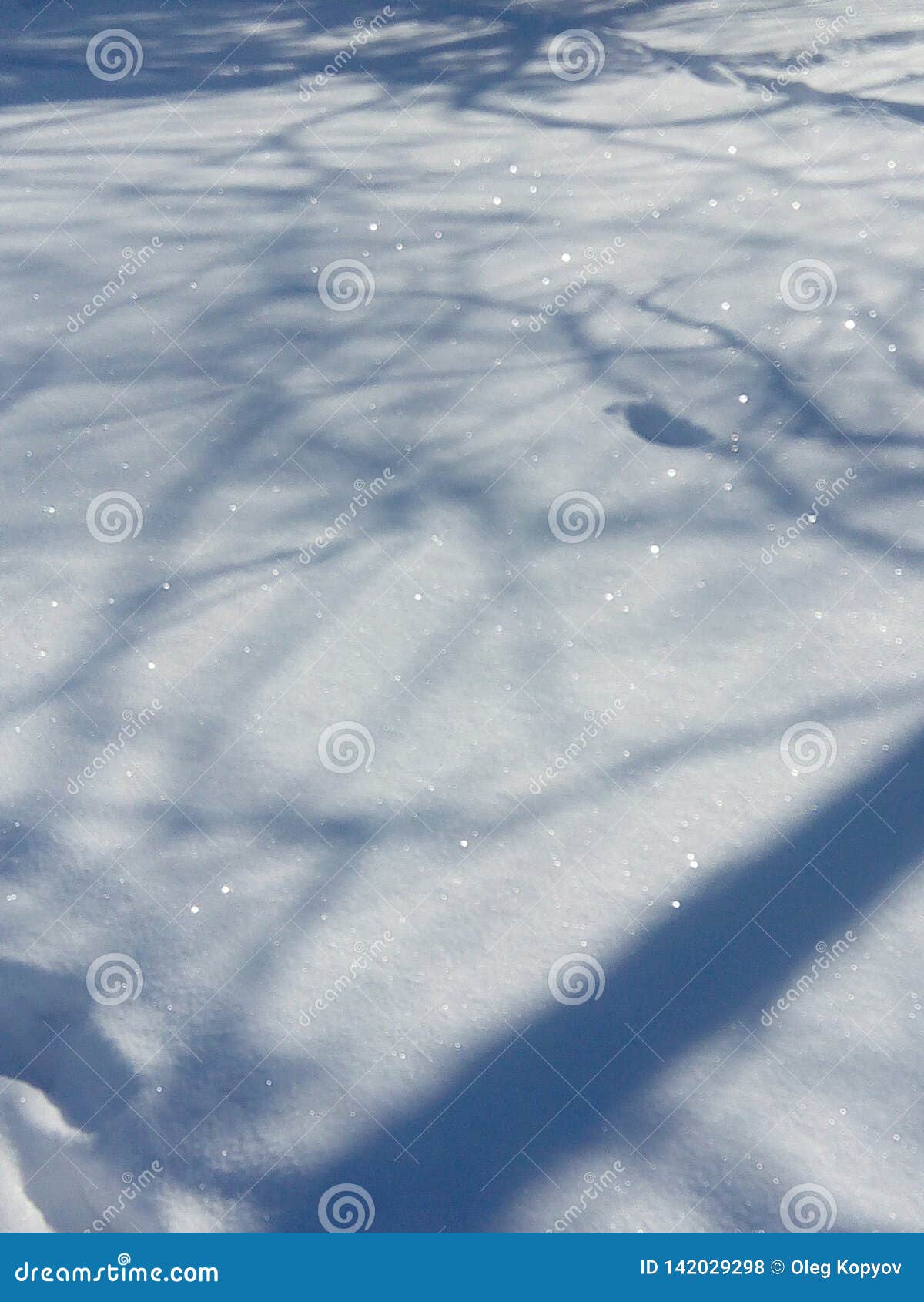 Shadows on the Snow. Shadows from the Trees. Shadows from the Bright ...