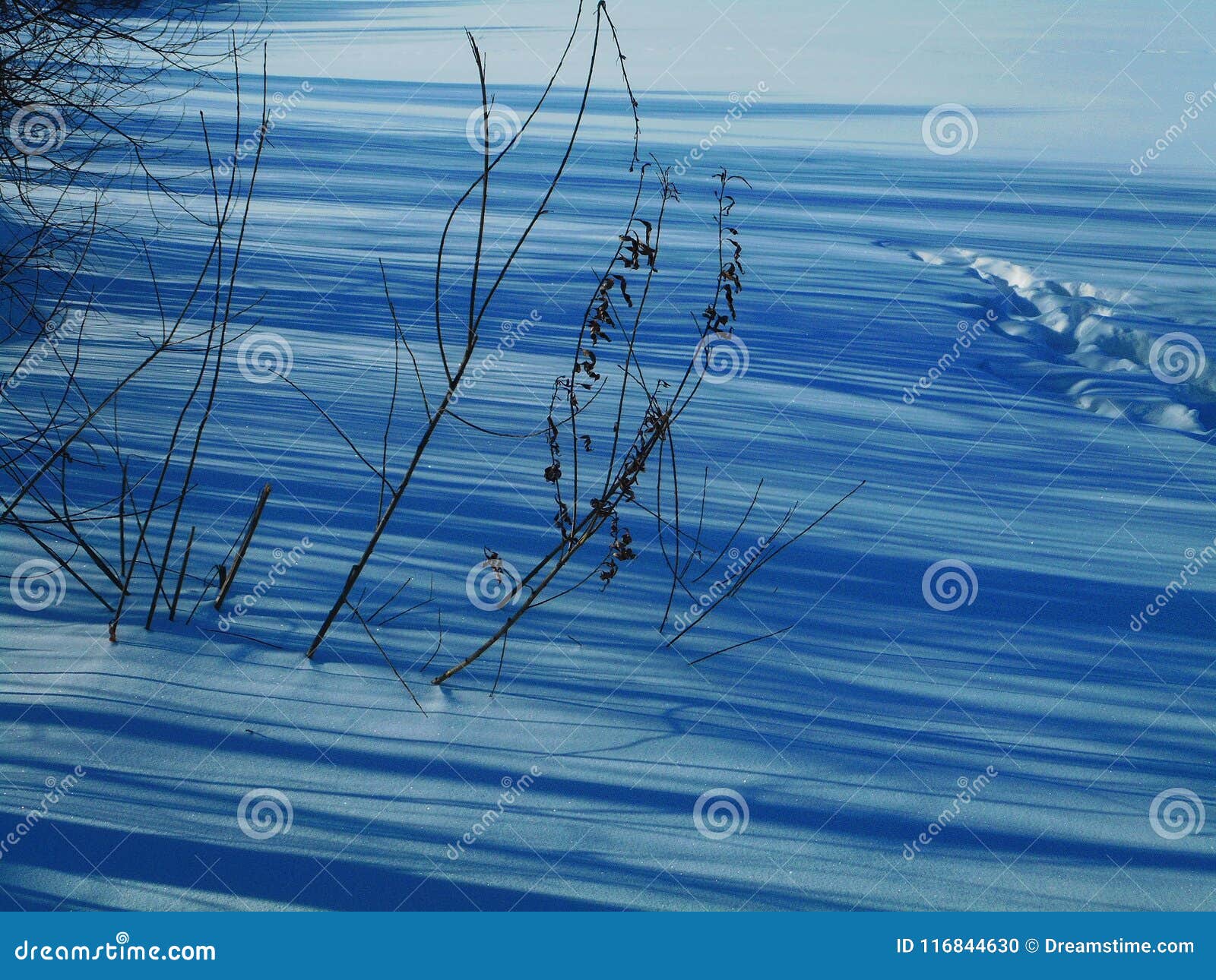 Shadows in the Snow on a Winter Evening Stock Photo - Image of nature ... Shadows in the Snow on a Winter Evening Stock Photo - Image of nature ...