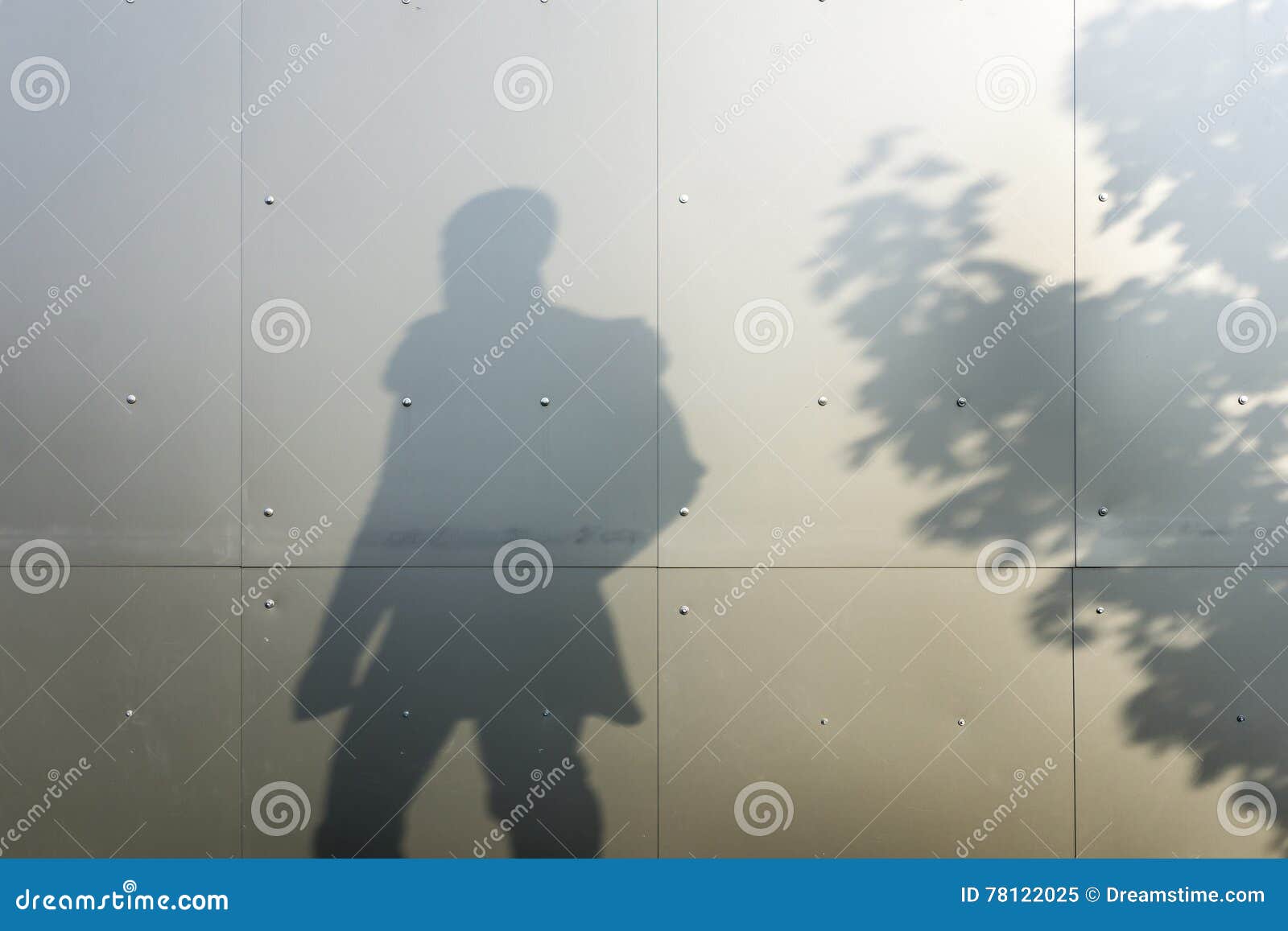 Shadows of statue and tree stock image. Image of architecture - 78122025