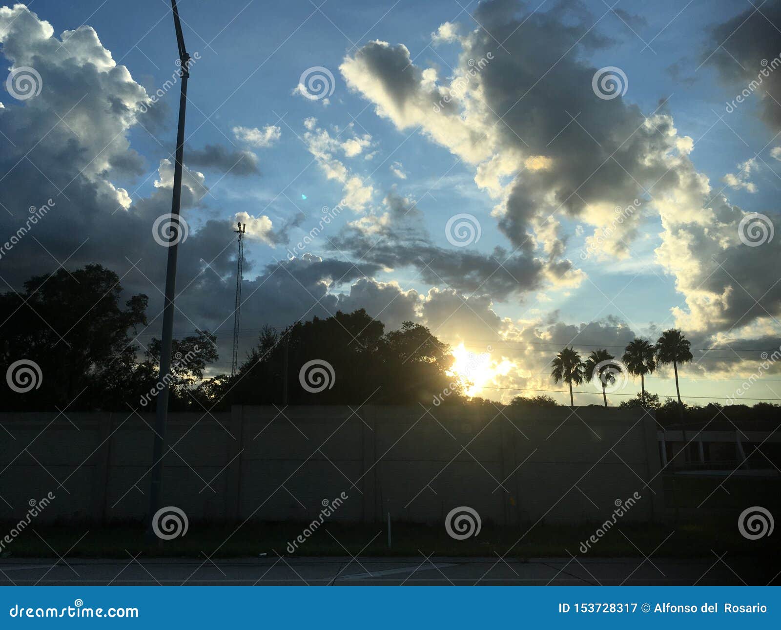 Shadows of summer stock image. Image of shadows, nature - 153728317