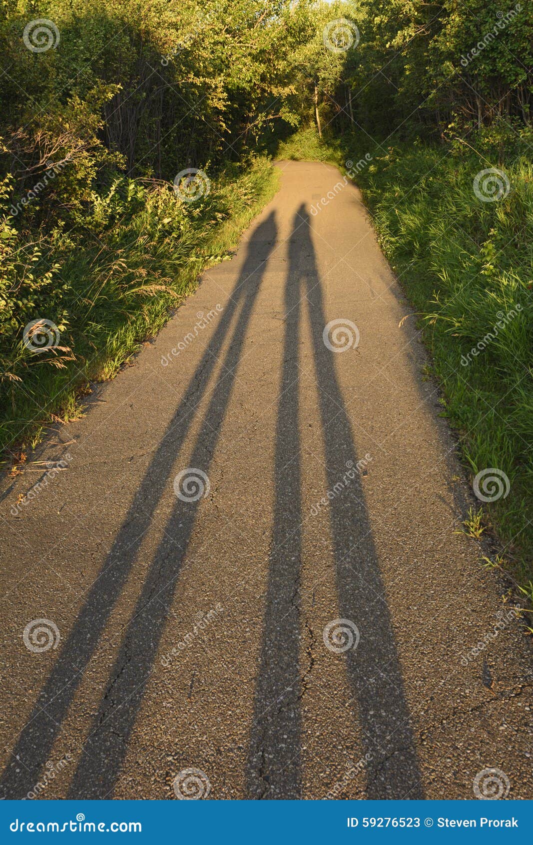 Shadows at Sunset stock image. Image of vertical, calm - 59276523