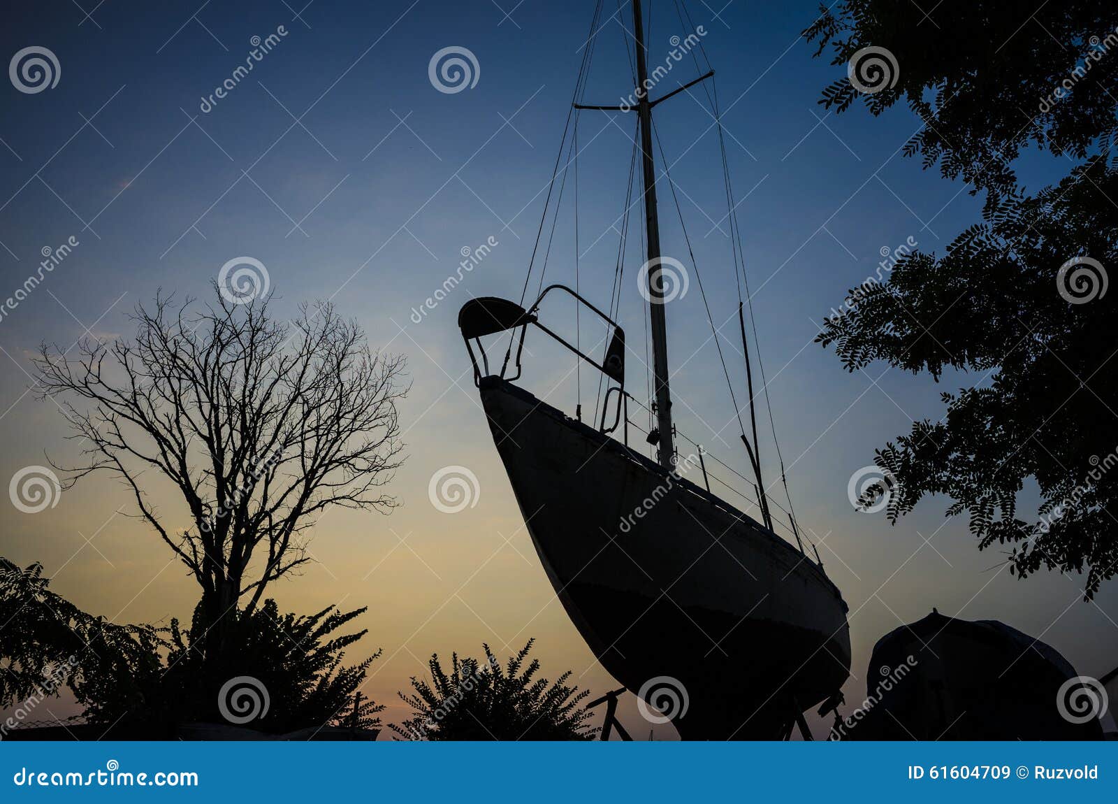 Shadows at Sunset the Ship and Trees Stock Image - Image of afternoon ...