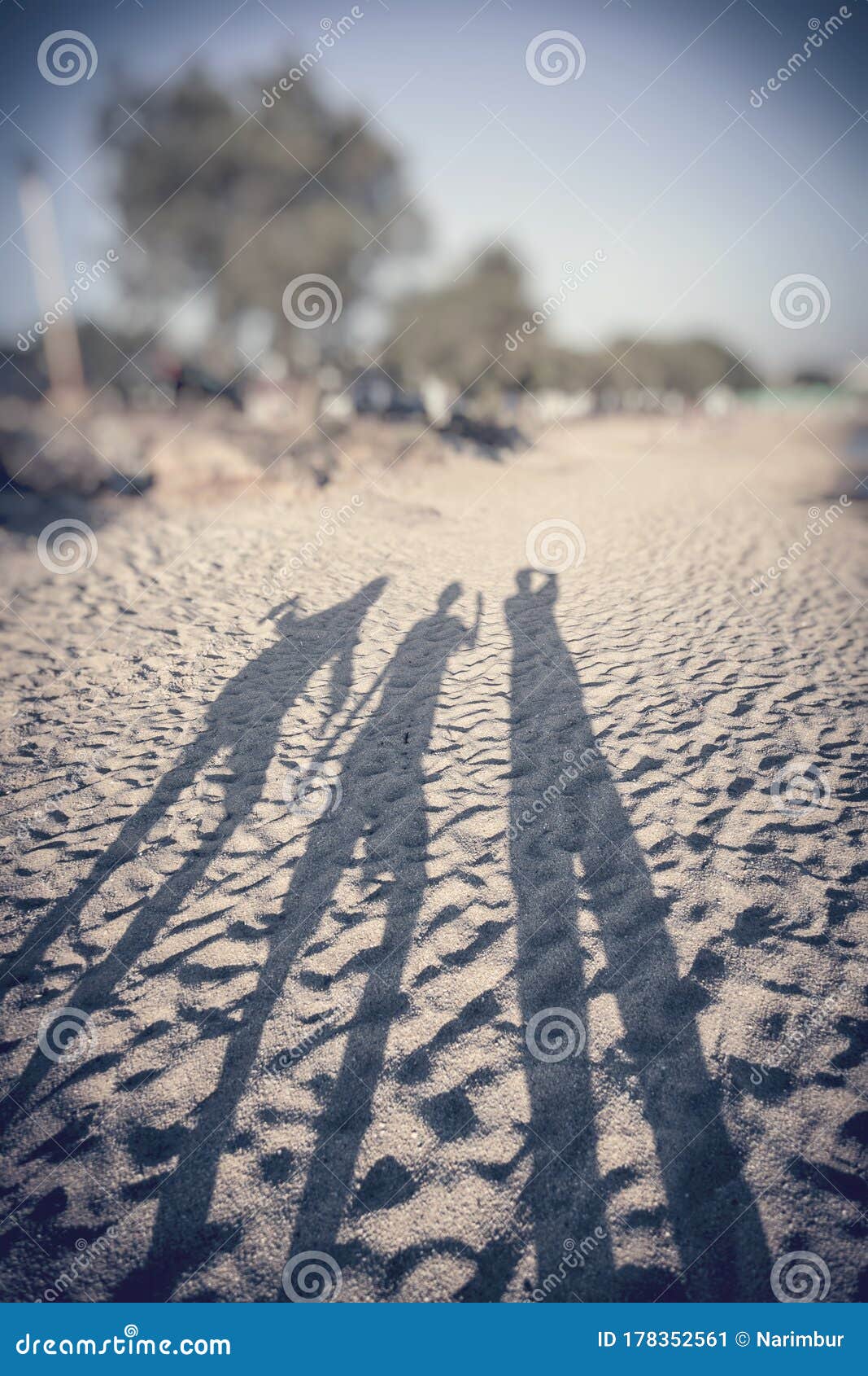 Shadows of Three People on a Beach Stock Image - Image of sand, people ...