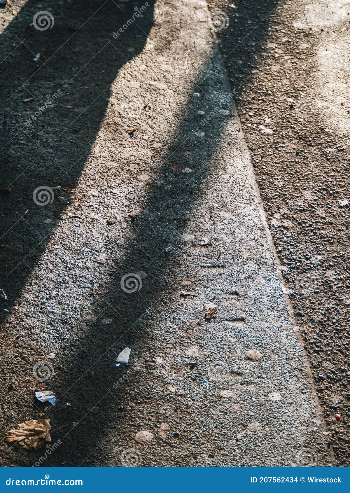 Shadows of Tree on Asphalt Sidewalk Surface Stock Photo - Image of ...