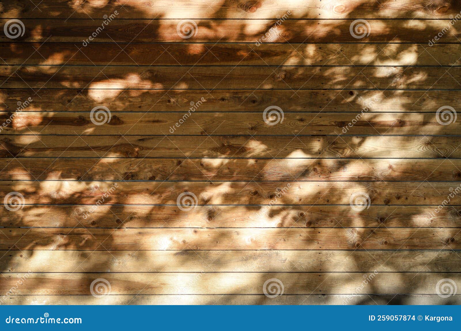 Shadows of the Tree Branches on the Wall Made of the Old and Dirty ...