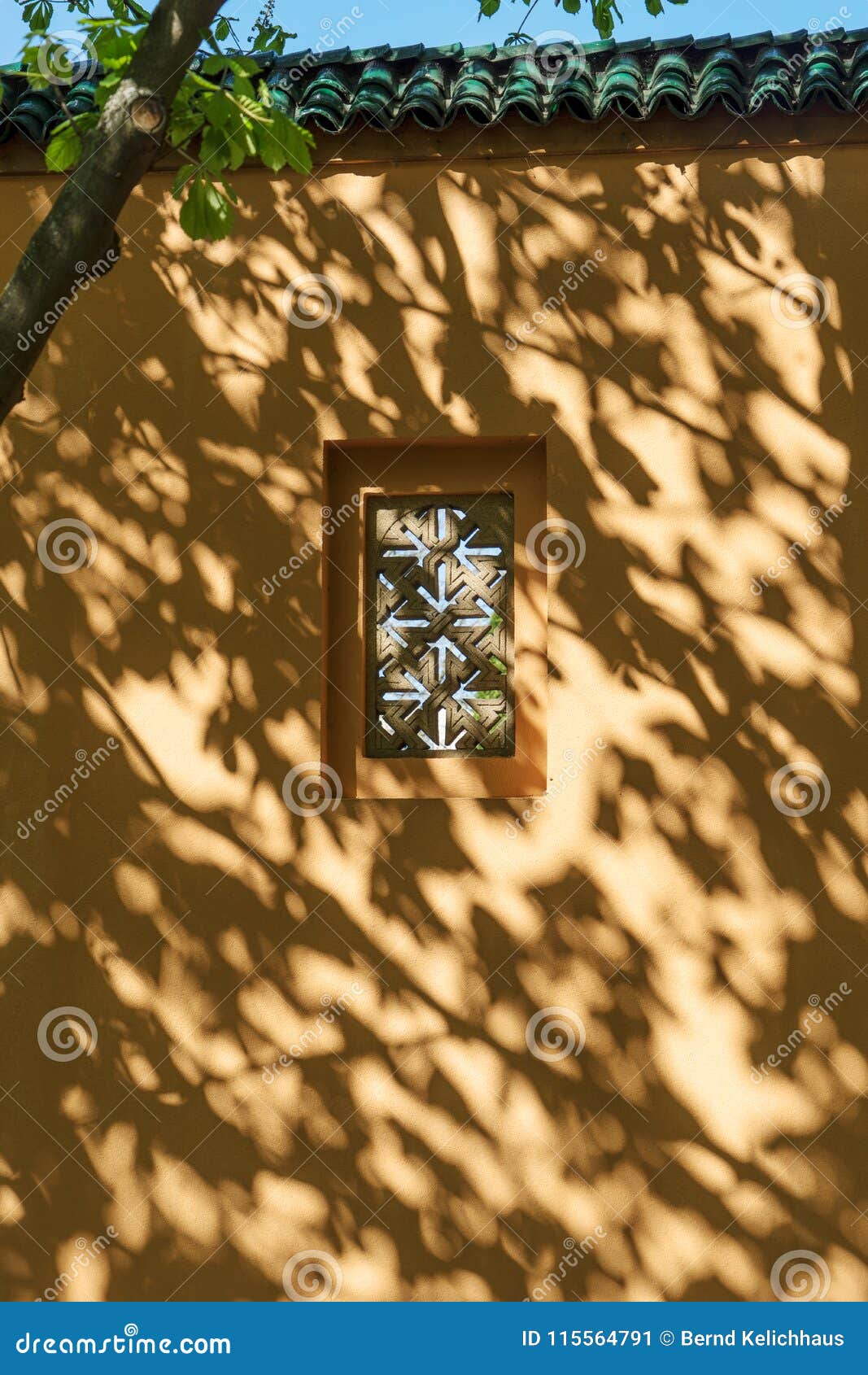 Shadows of the Tree on the Facade of the Building Stock Image - Image ...