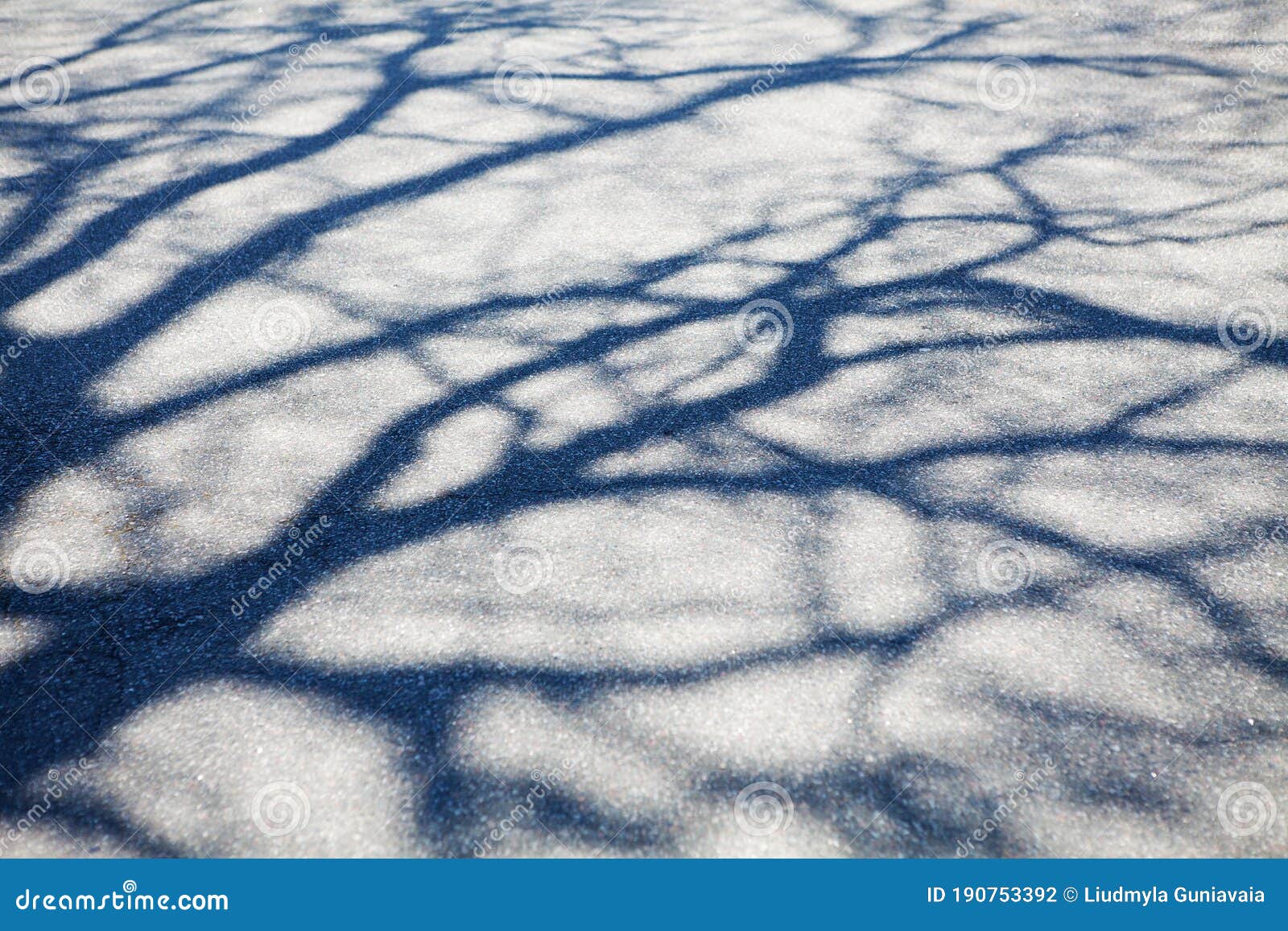 Shadows from Trees on Asphalt Road. Texture, Wallpaper Stock Photo ...