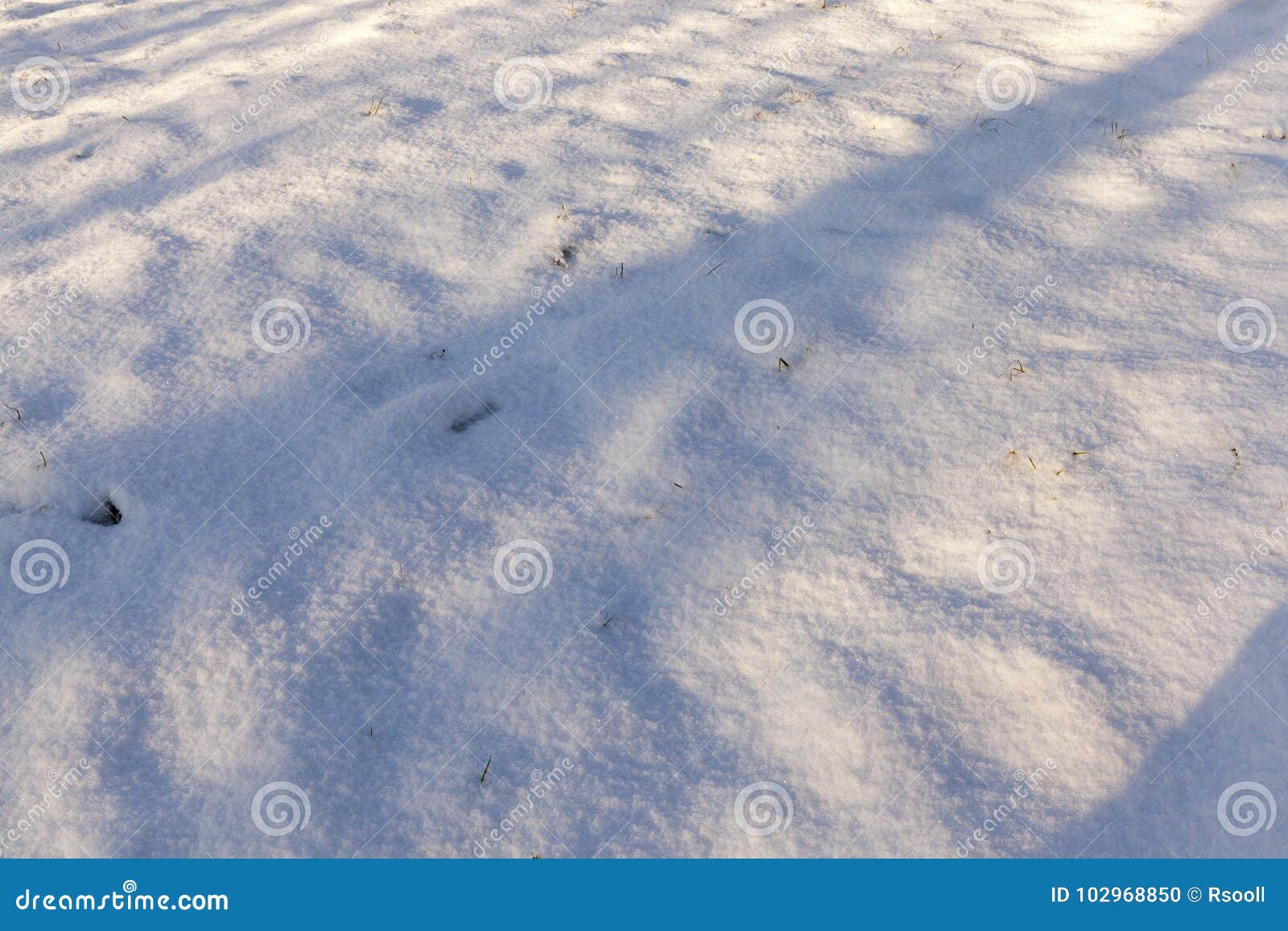 Shadows in the snow stock photo. Image of empty, fallen - 102968850
