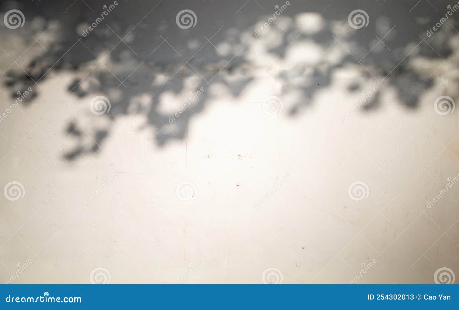 Shadow from a Tree on the Wall, Interesting Background with Copy Space ...