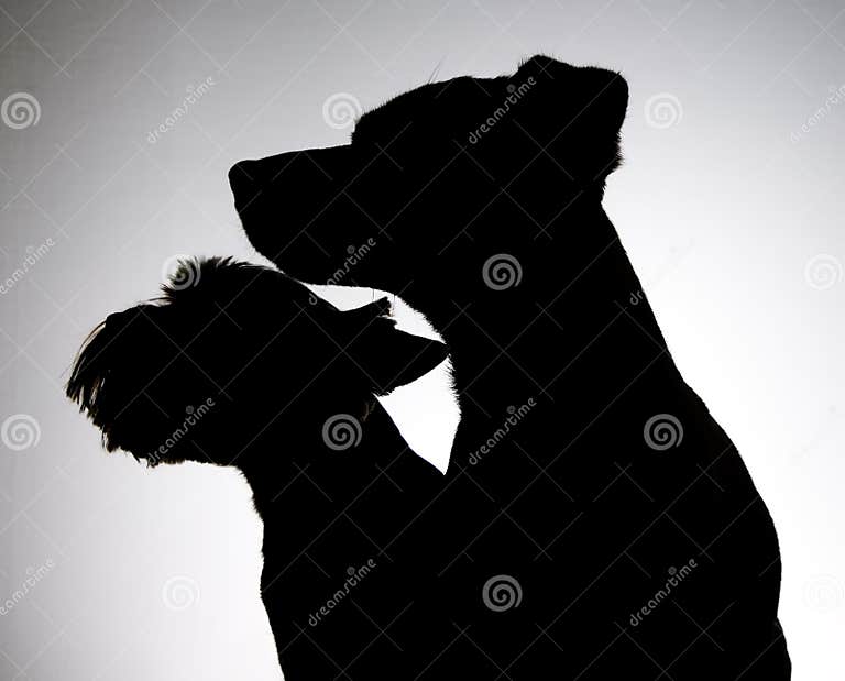 Shadows of two dogs stock image. Image of animal, posing - 19171085