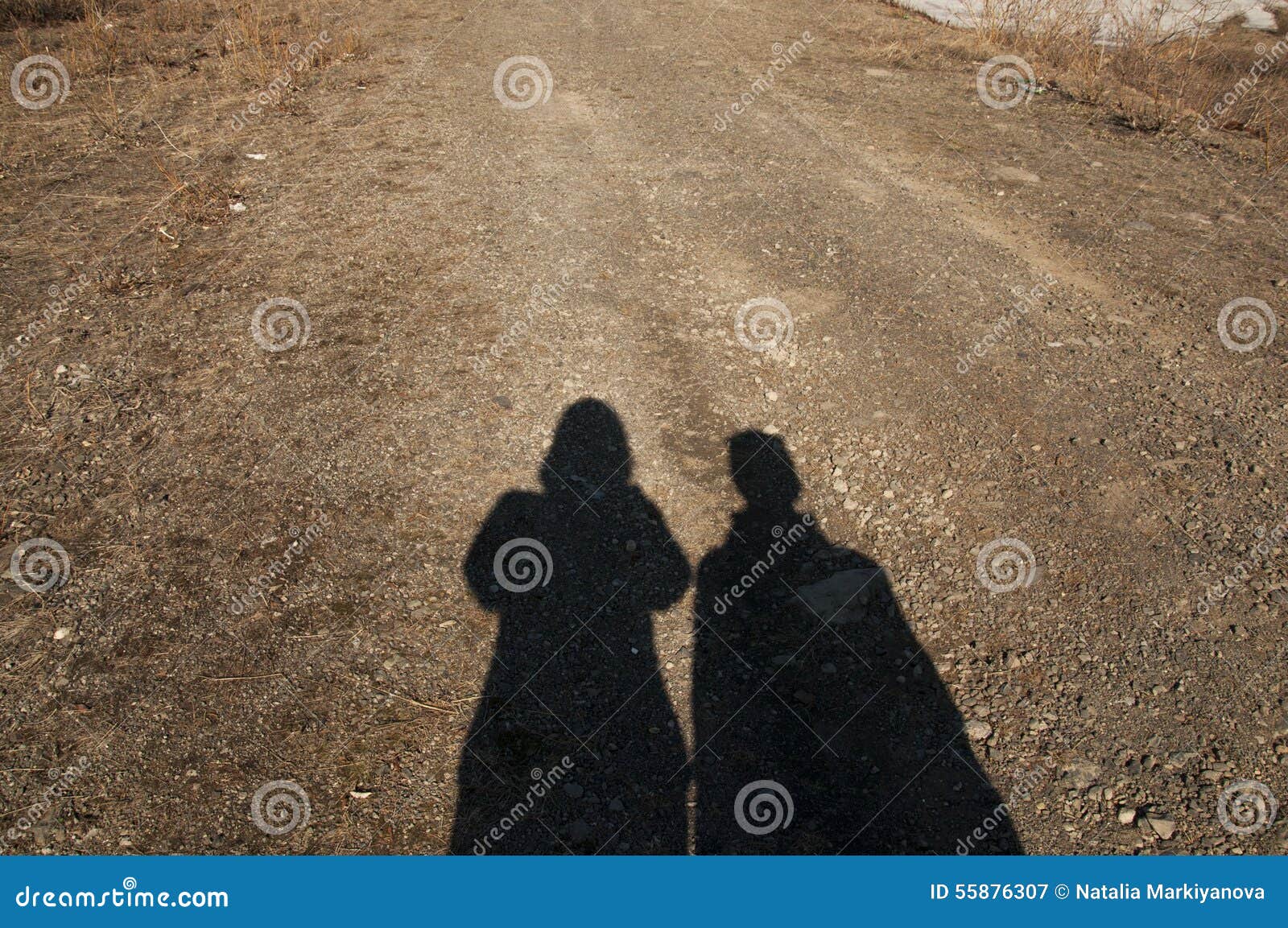Shadows stock image. Image of crushed, nature, shadow - 55876307