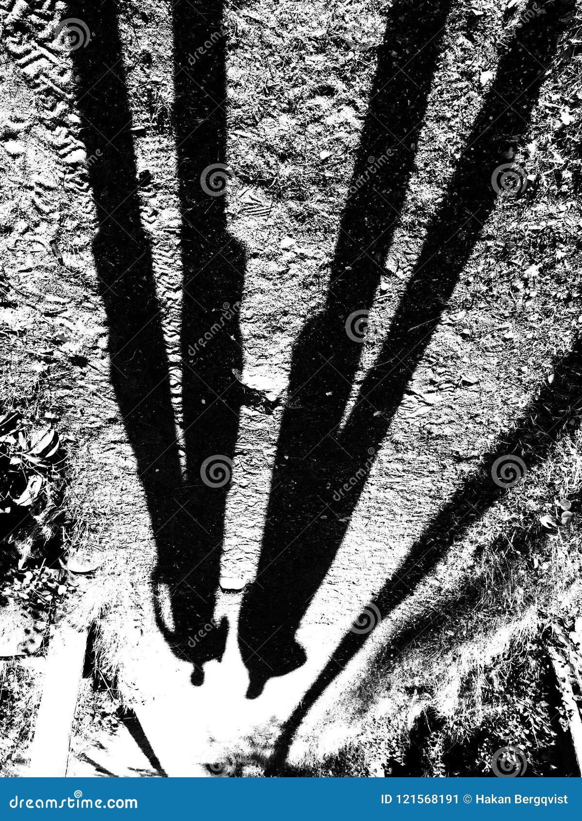 Shadows of two men stock image. Image of walking, giants - 121568191
