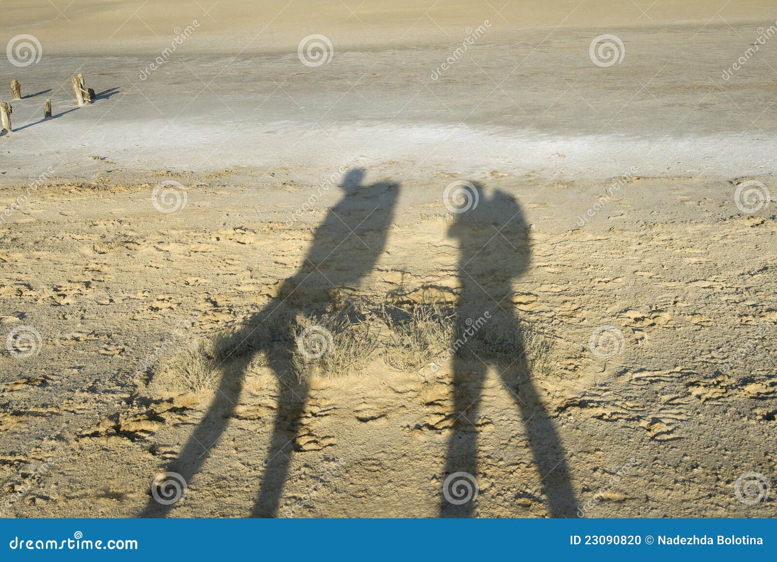 Shadows of two travellers stock photo. Image of heat - 23090820