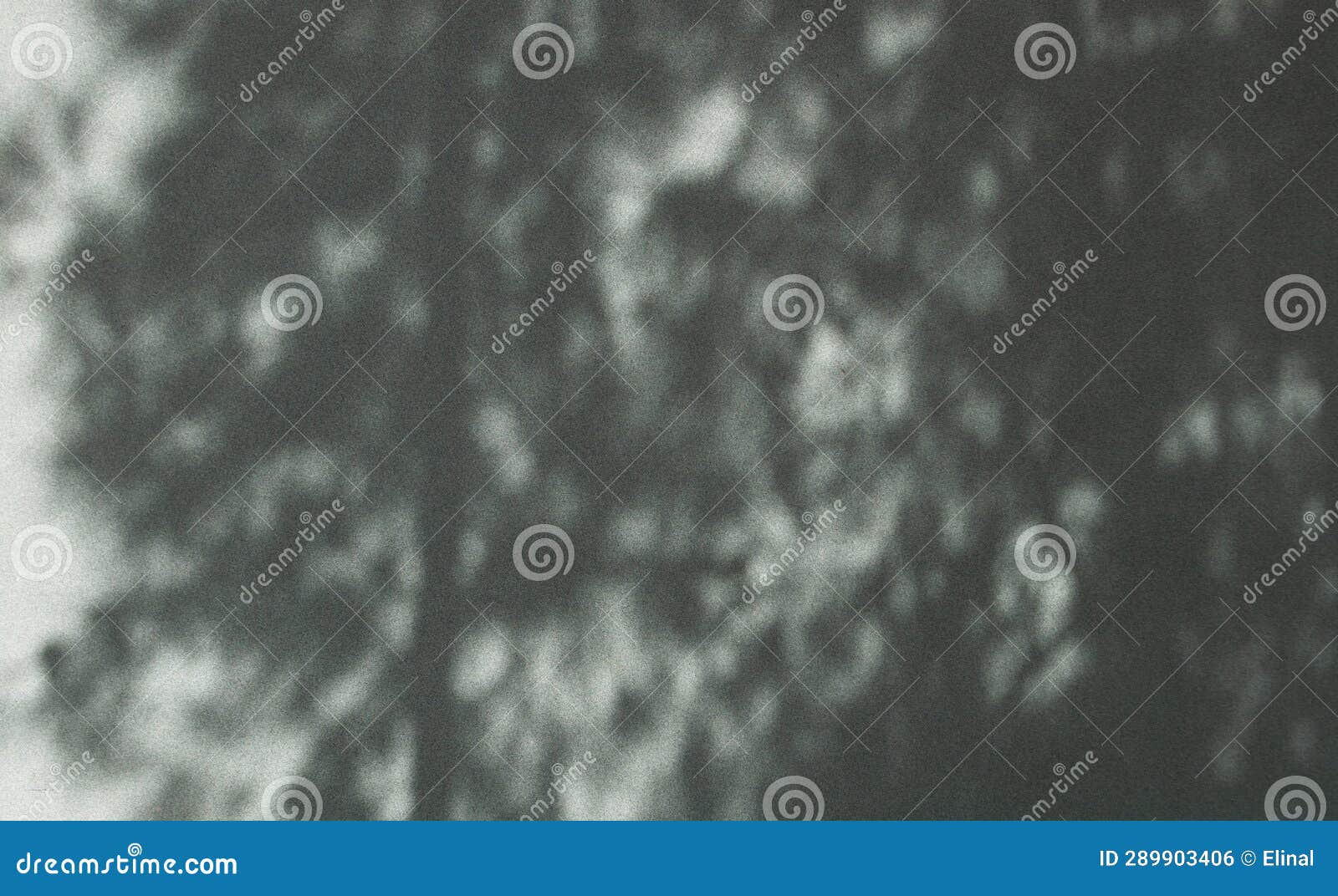 Shadows on the Wall, Background. Stock Photo - Image of sunlight, leaf ...