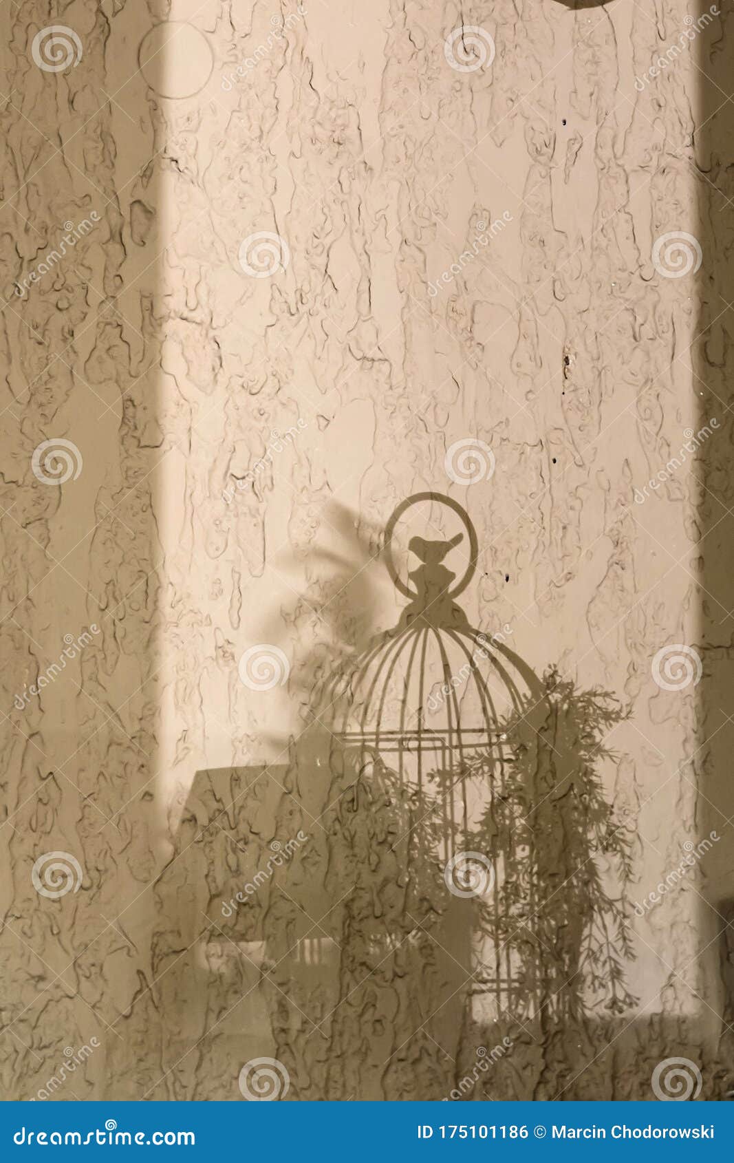 Shadows on the Wall. Shape of a Cage Stock Photo - Image of mysterious ...