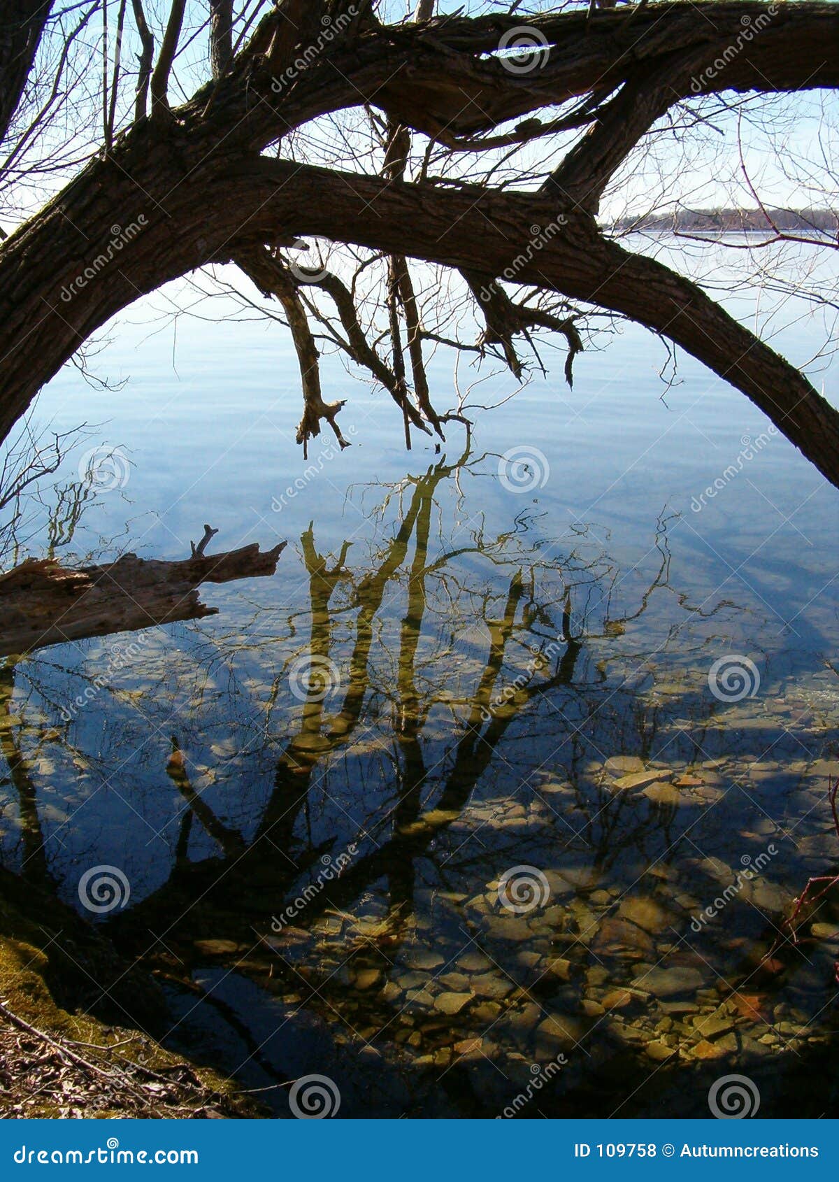 Shadows In The Water Picture. Image: 109758