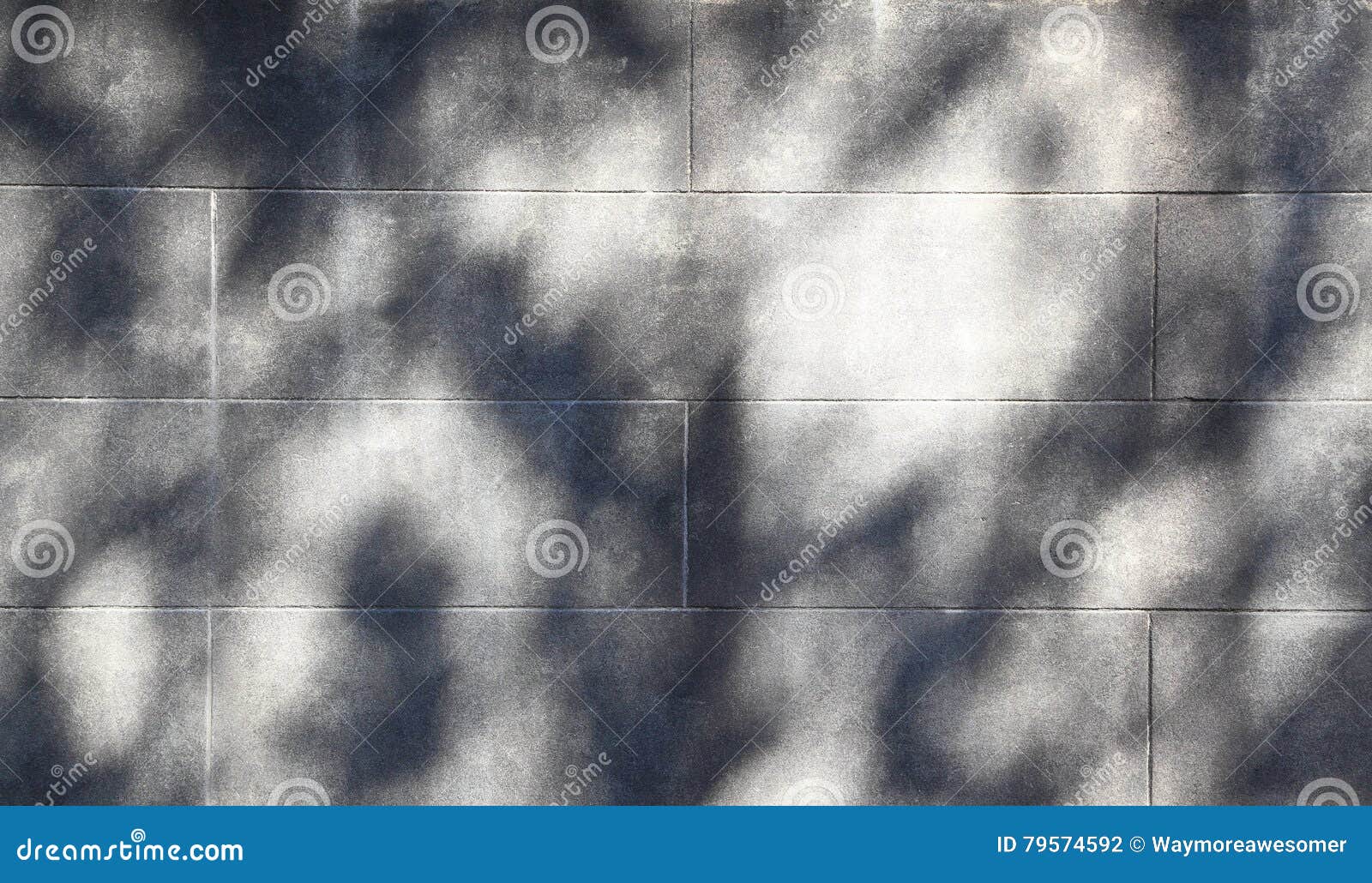 Shadows On White Cinder Block Wall Stock Photo - Image of wall, cement ...