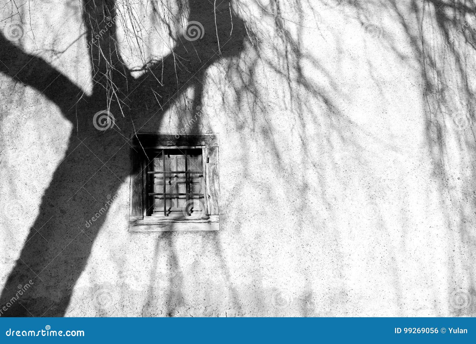 Shadows from a Willow Trees on Wall Stock Photo - Image of leaf, forest ...