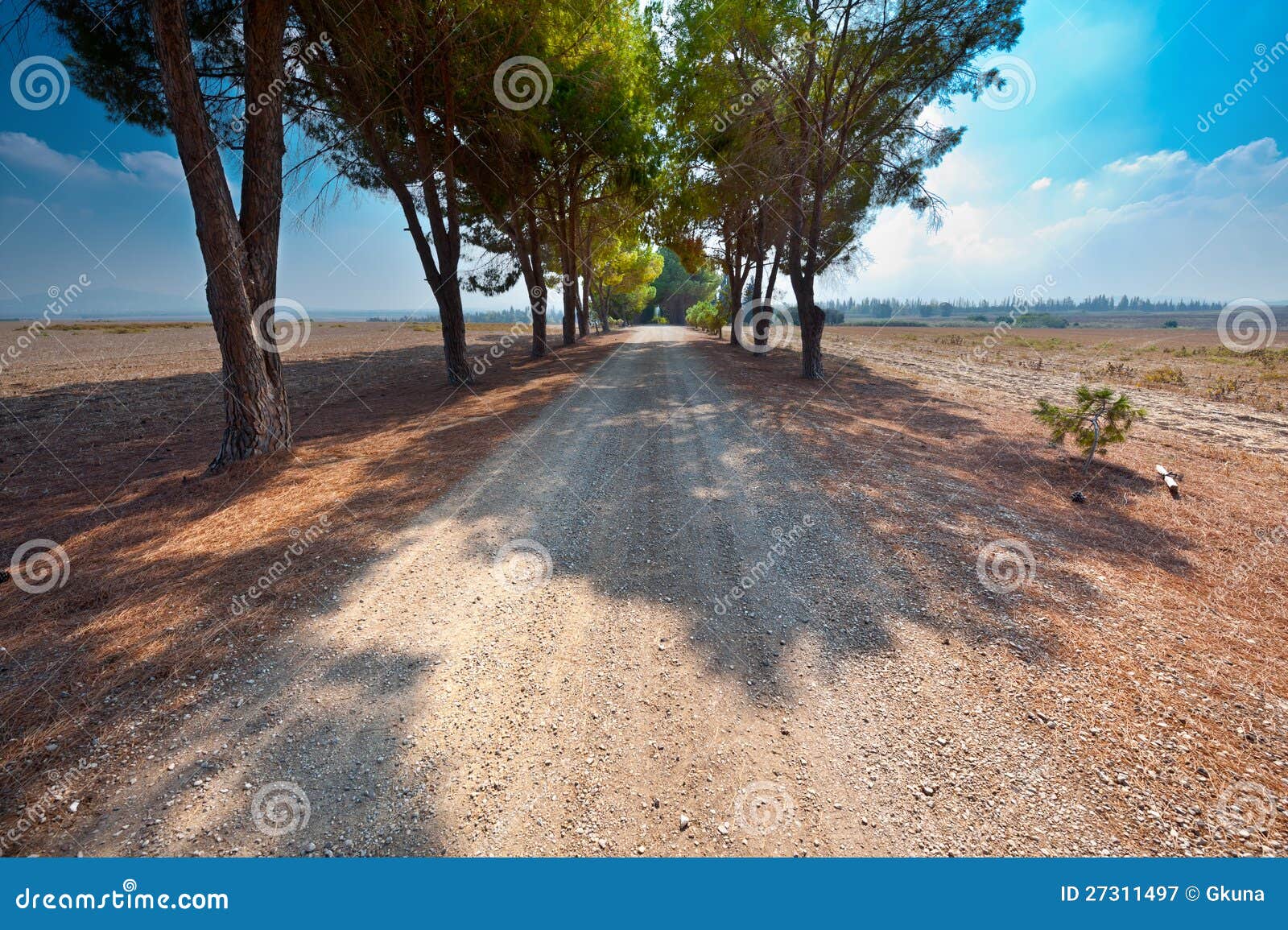 Shady Alley stock image. Image of asia, countryside, plantation - 27311497