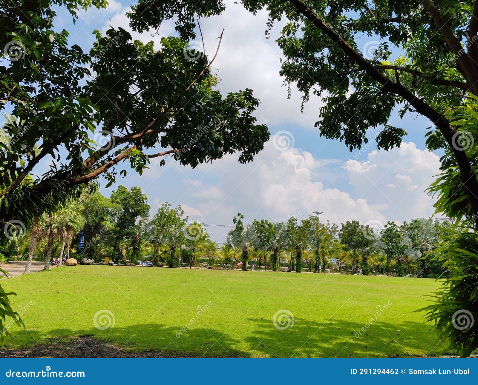 Shady Atmosphere Public with Green Grass and Trees. Stock Photo - Image ...