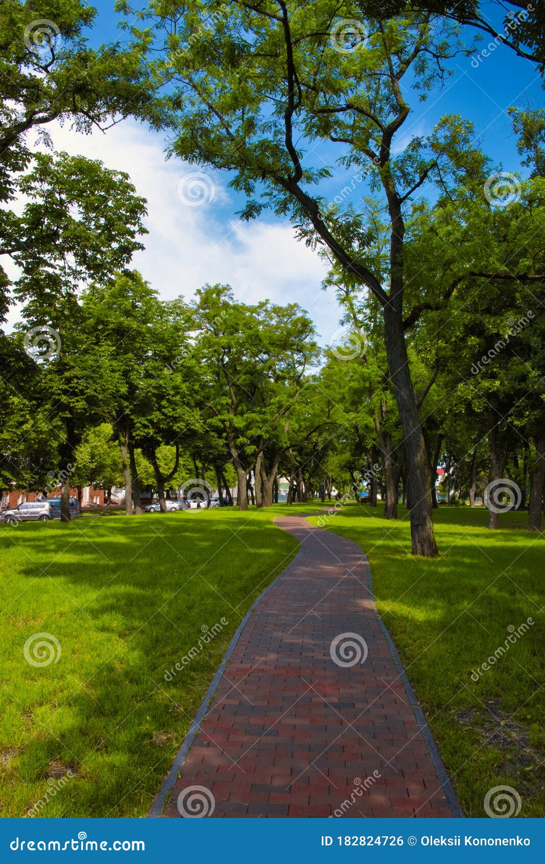 Shady City Alley. Cobblestone Path among the Trees Stock Photo - Image ...