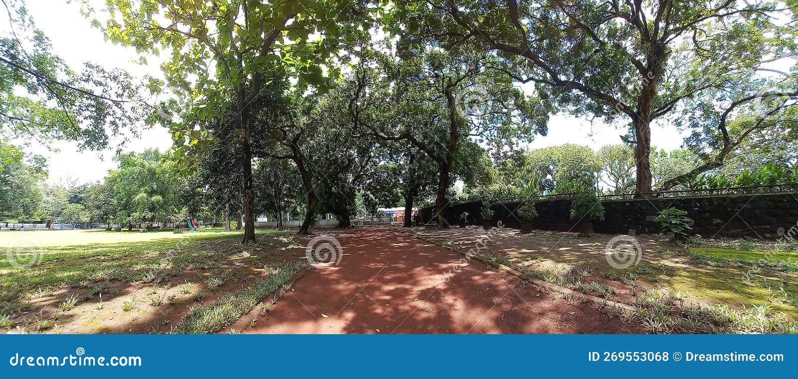 Shady Garden with Shady Tree Lined Beautiful Stock Photo - Image of ...