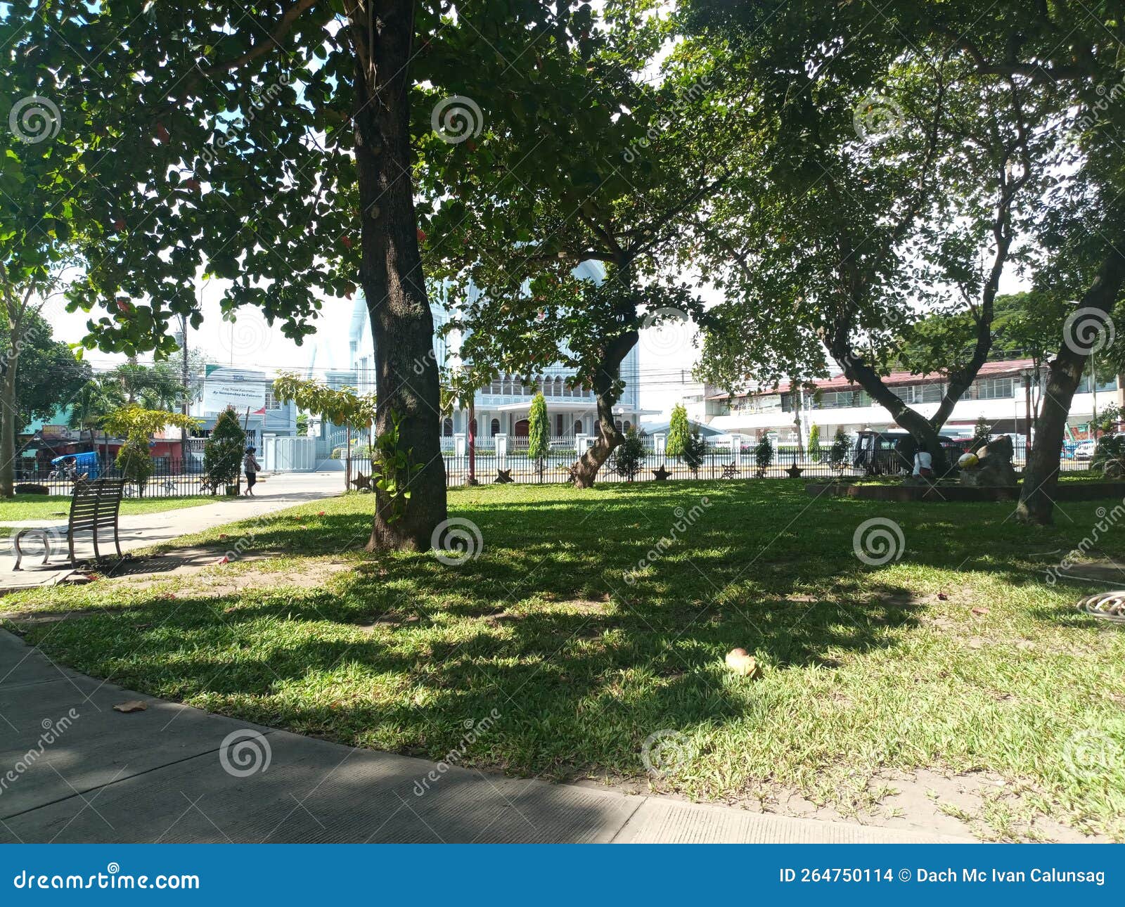 Shady Park Full of Trees with a Road in Front Editorial Stock Image ...