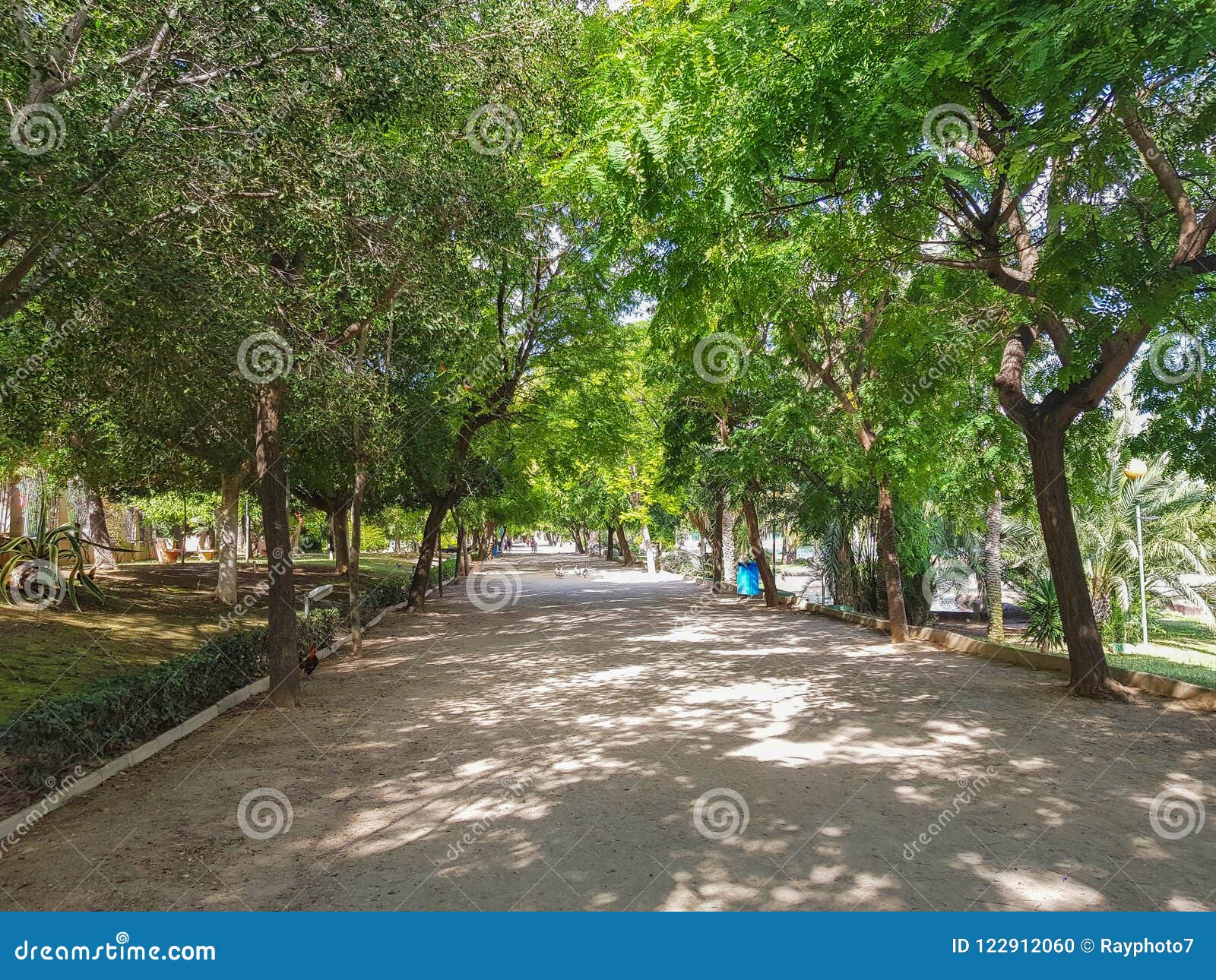 Shady Park Path with Ducks and Green Trees Stock Photo - Image of shady ...