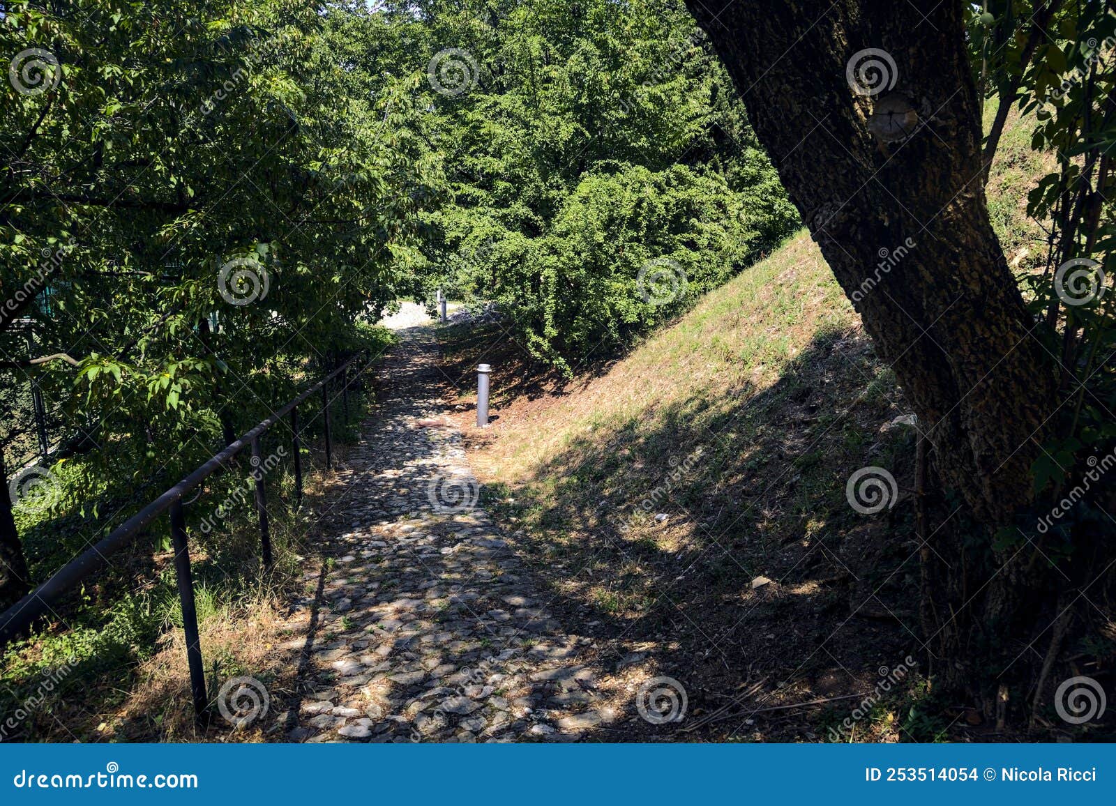 Shady Path with Trees Arching on it in a Park Stock Photo - Image of ...