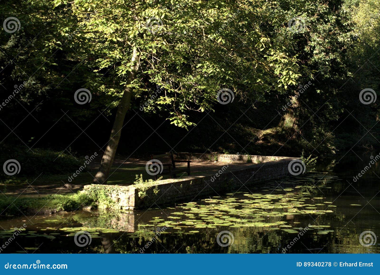 A shady place stock photo. Image of wall, shadow, shady - 89340278