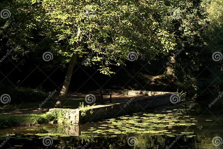 A shady place stock photo. Image of wall, shadow, shady - 89340278
