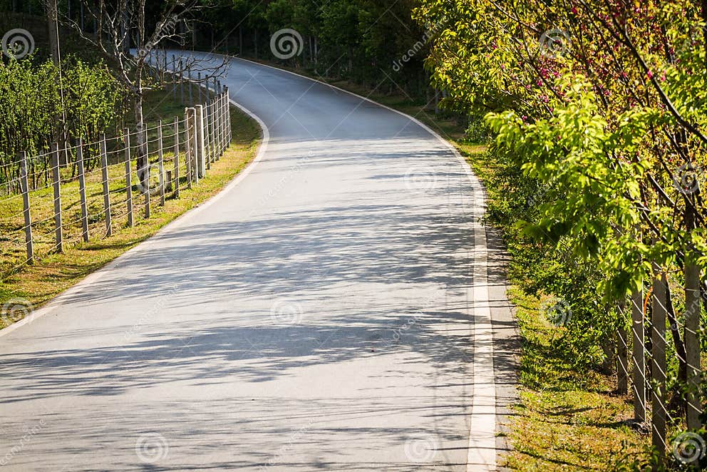 Shady road stock photo. Image of highway, travel, shady - 38319894