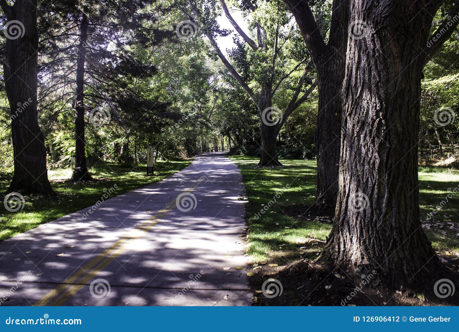 The Shady Side stock photo. Image of shadows, nature - 126906412