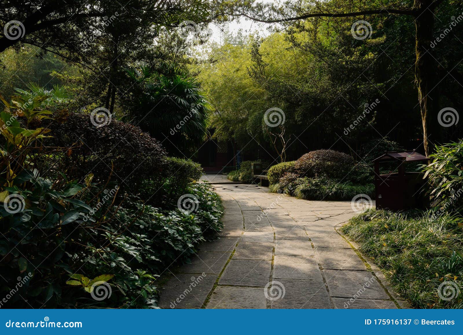 Shady Stone Path in Plants and Trees Stock Image - Image of footway ...