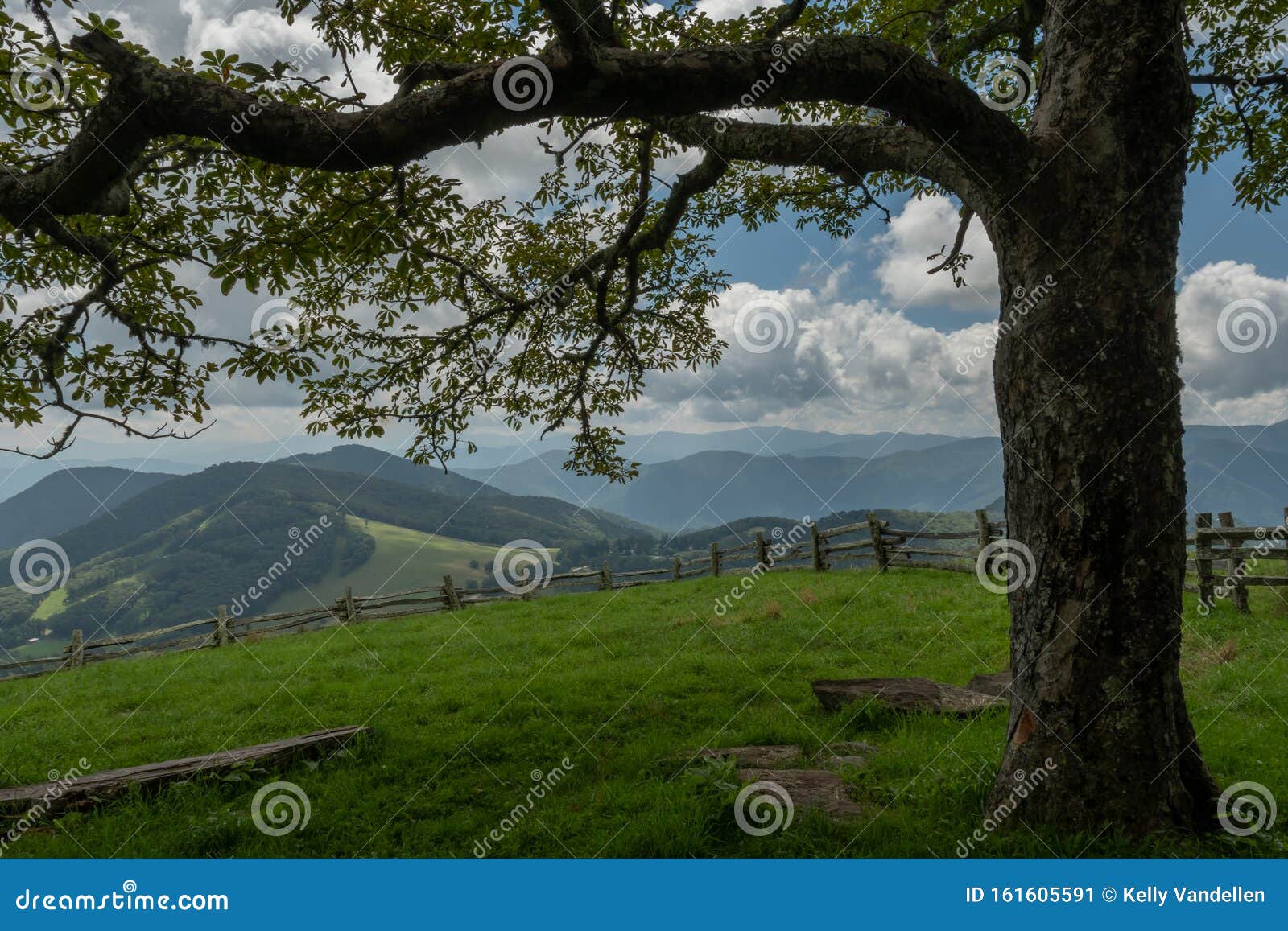Shady Tree on Mountain Clearing Stock Image - Image of hiking, cloud ...