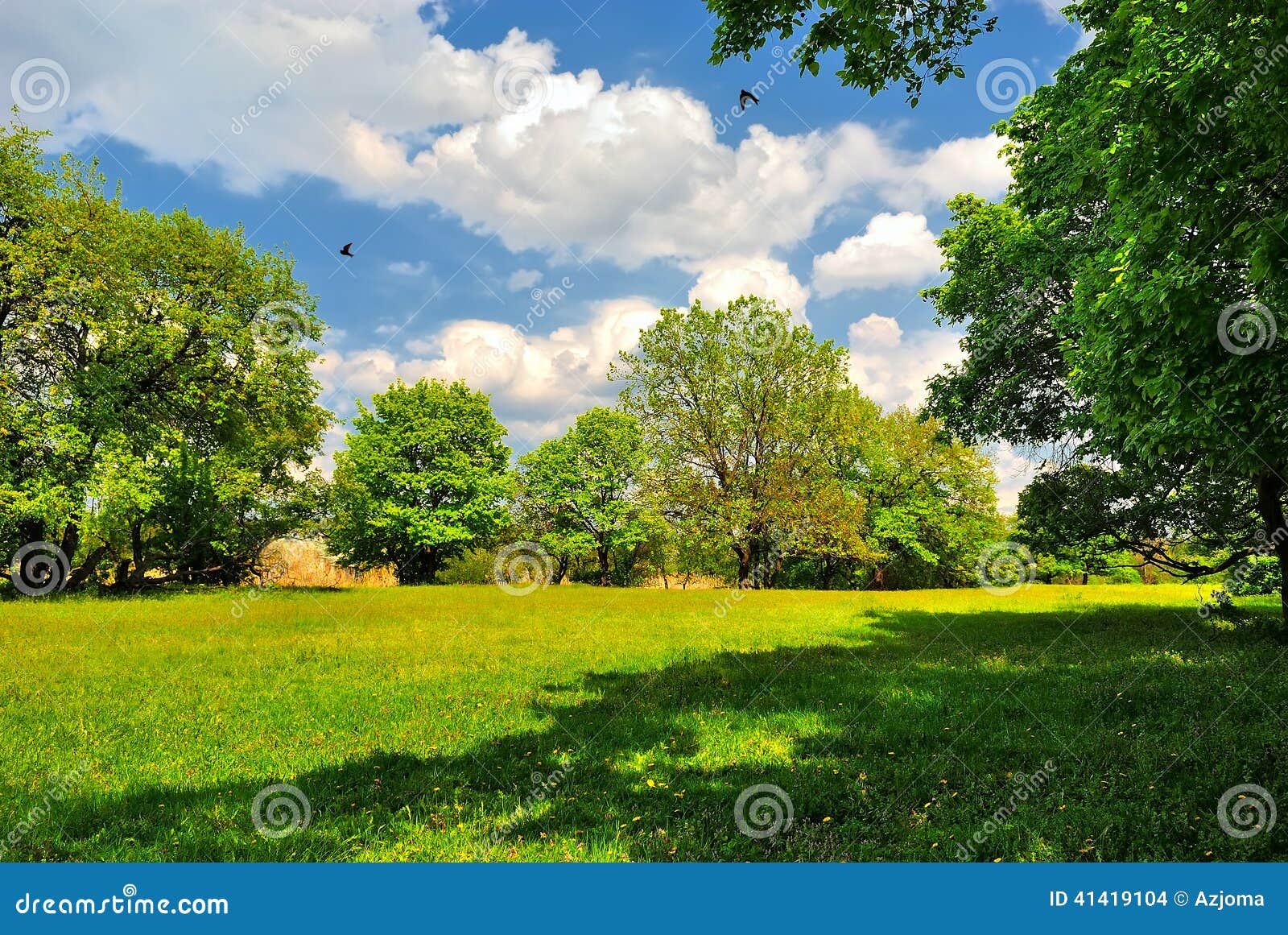 Shady Trees on Green Meadow Stock Photo - Image of beauty, woods: 41419104