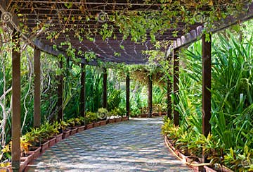 A Shady Walkway stock image. Image of brick, inviting - 15174899