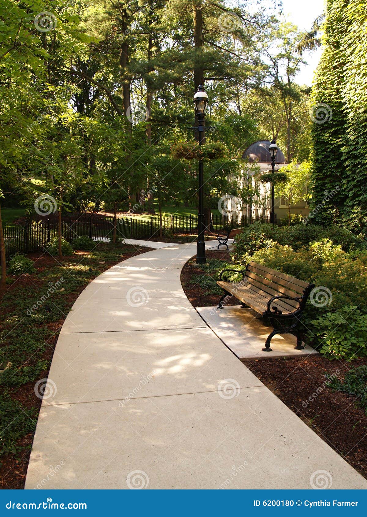 Shady Walkway and Park Bench Stock Photo - Image of path, bending: 6200180
