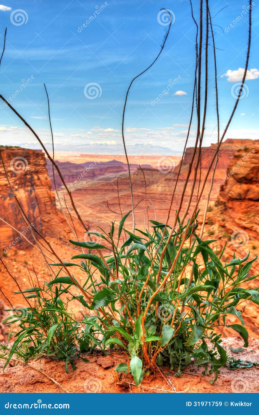 Shafer Switchbacks stock image. Image of park, lathrop - 31971759